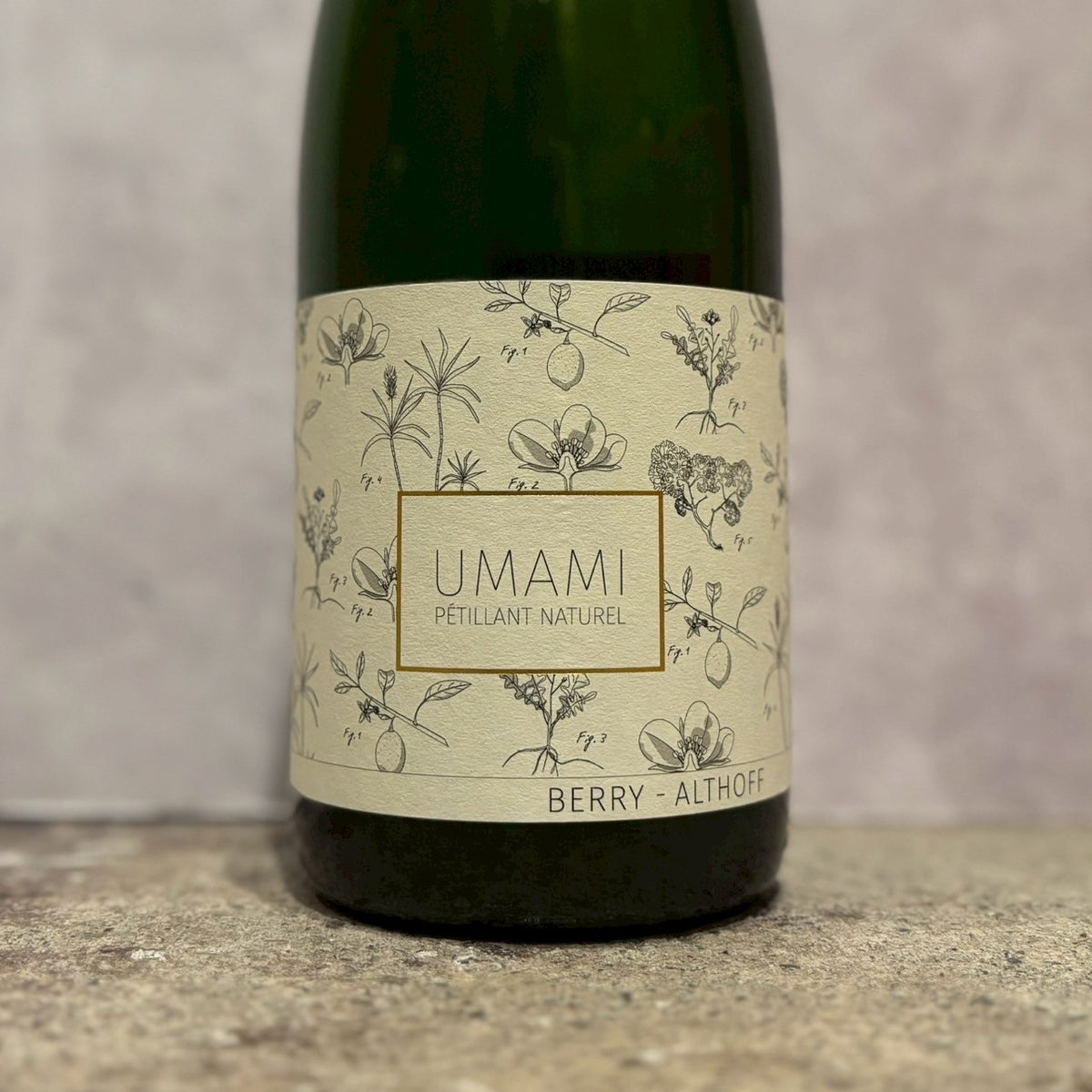 ウマミ 2023 / ル・ケ・ア・レザン Umami 2023 / Le Quai a Raisinsa– torocco Store